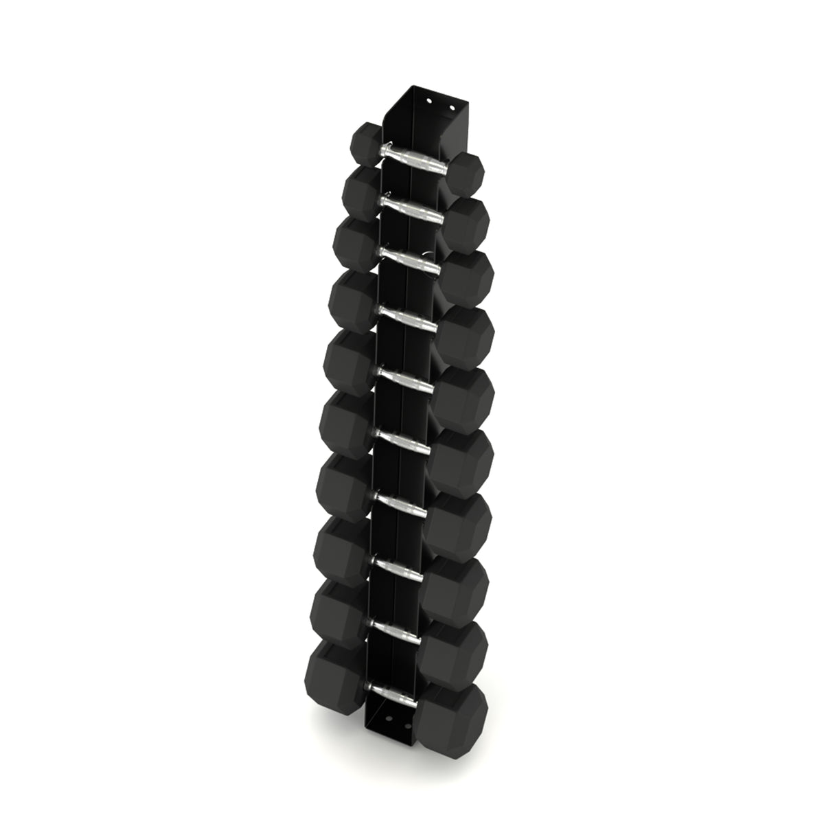 Wall Mounted Dumbbell Storage Rack | Vertical Dumbbell Wall Mount
