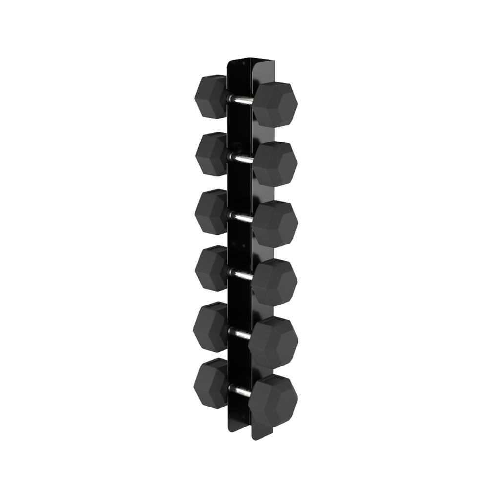 Wall Mounted Dumbbell Storage Rack | Vertical Heavy Dumbbell Wall Mount