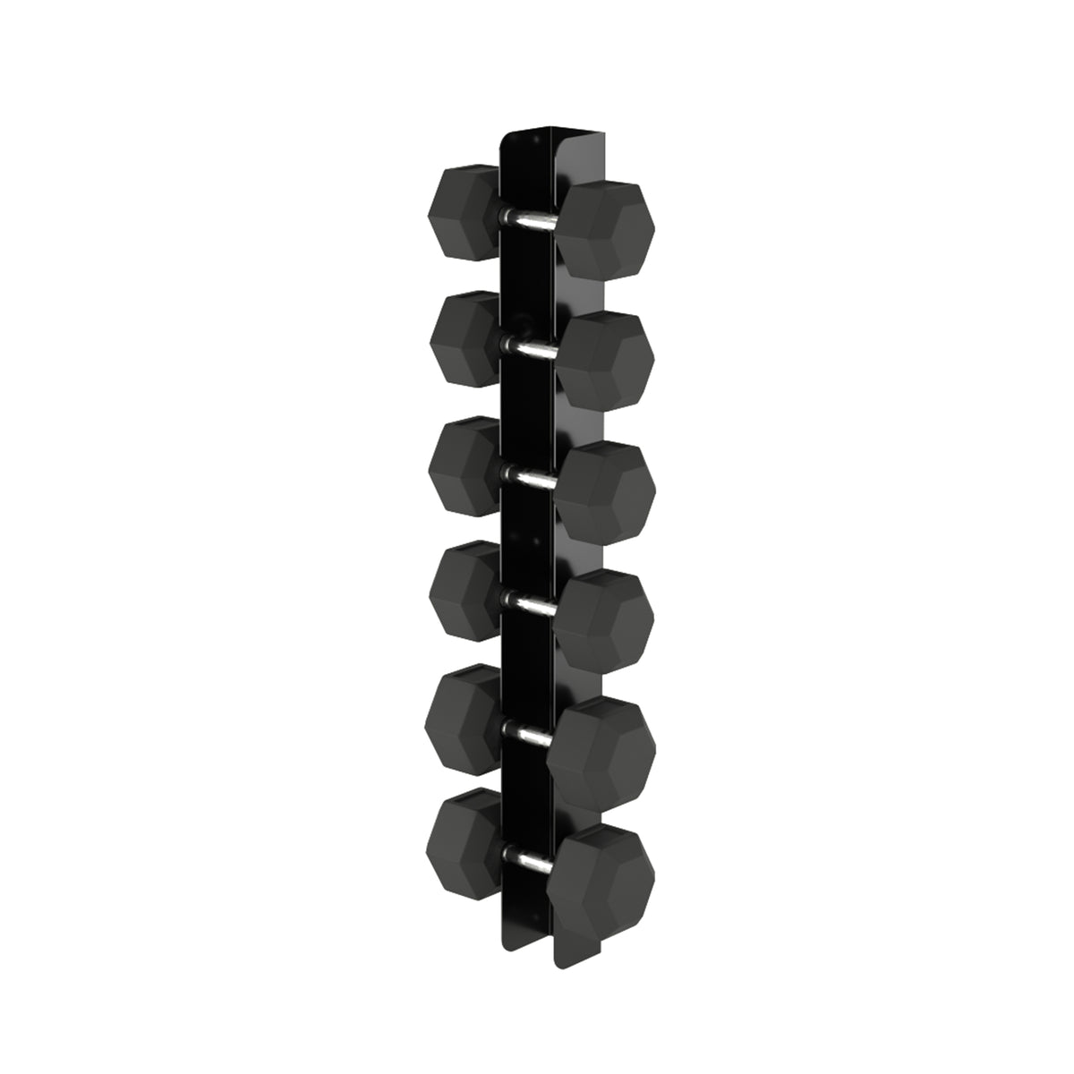 Wall Mounted Dumbbell Storage Rack | Vertical Heavy Dumbbell Wall Mount