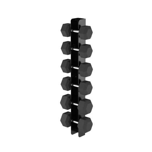 Wall Mounted Dumbbell Storage Rack | Vertical Heavy Dumbbell Wall Mount