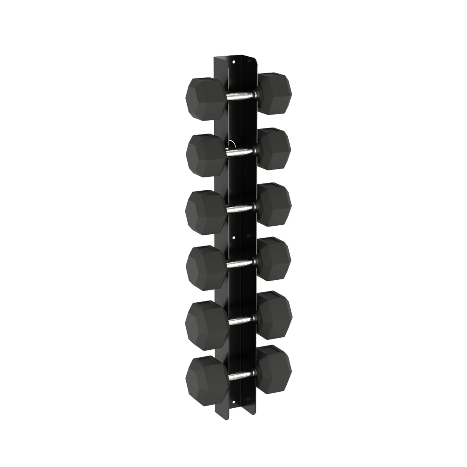 Wall Mounted Dumbbell Storage Rack | Vertical Heavy Dumbbell Wall Mount