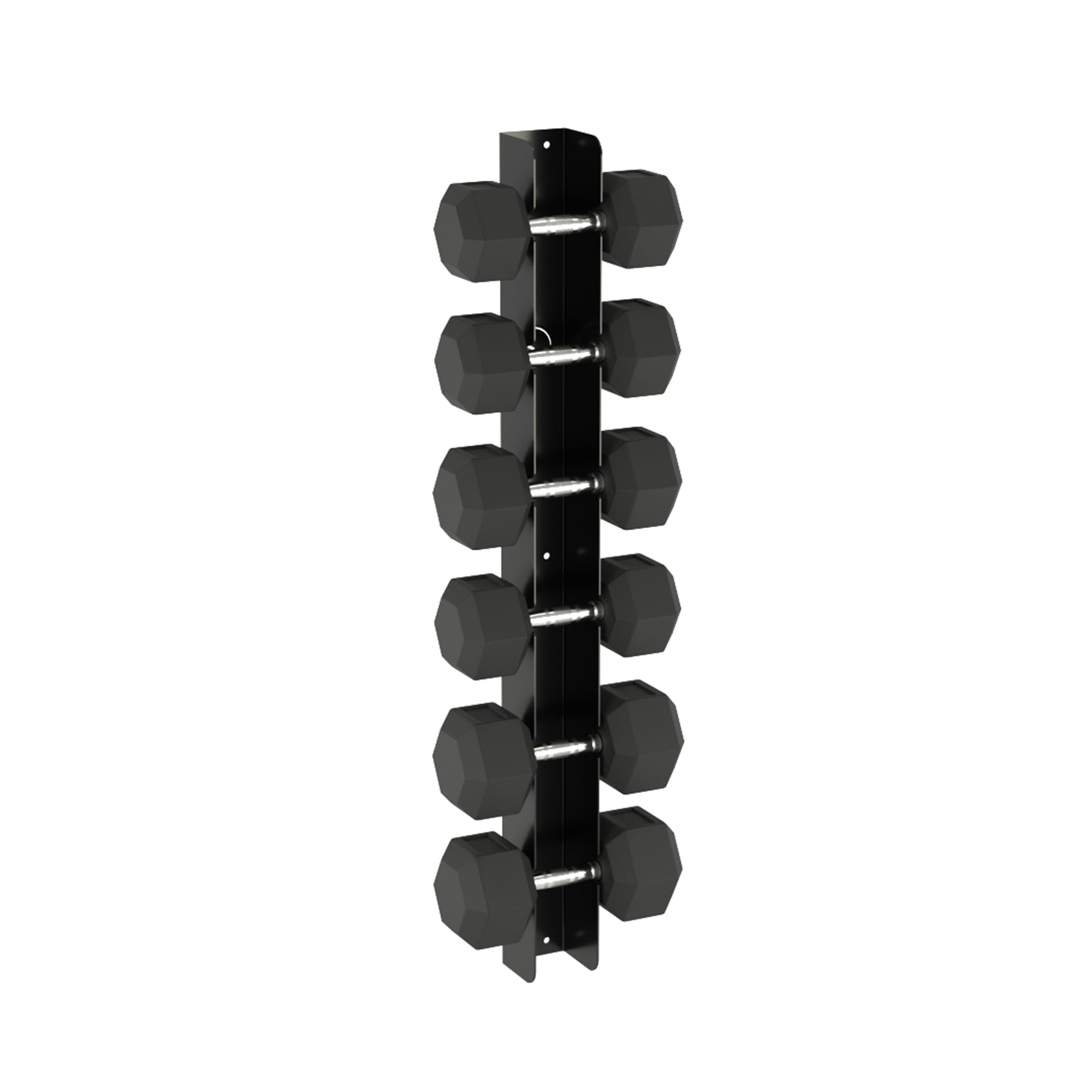 Wall Mounted Dumbbell Storage Rack | Vertical Heavy Dumbbell Wall Mount