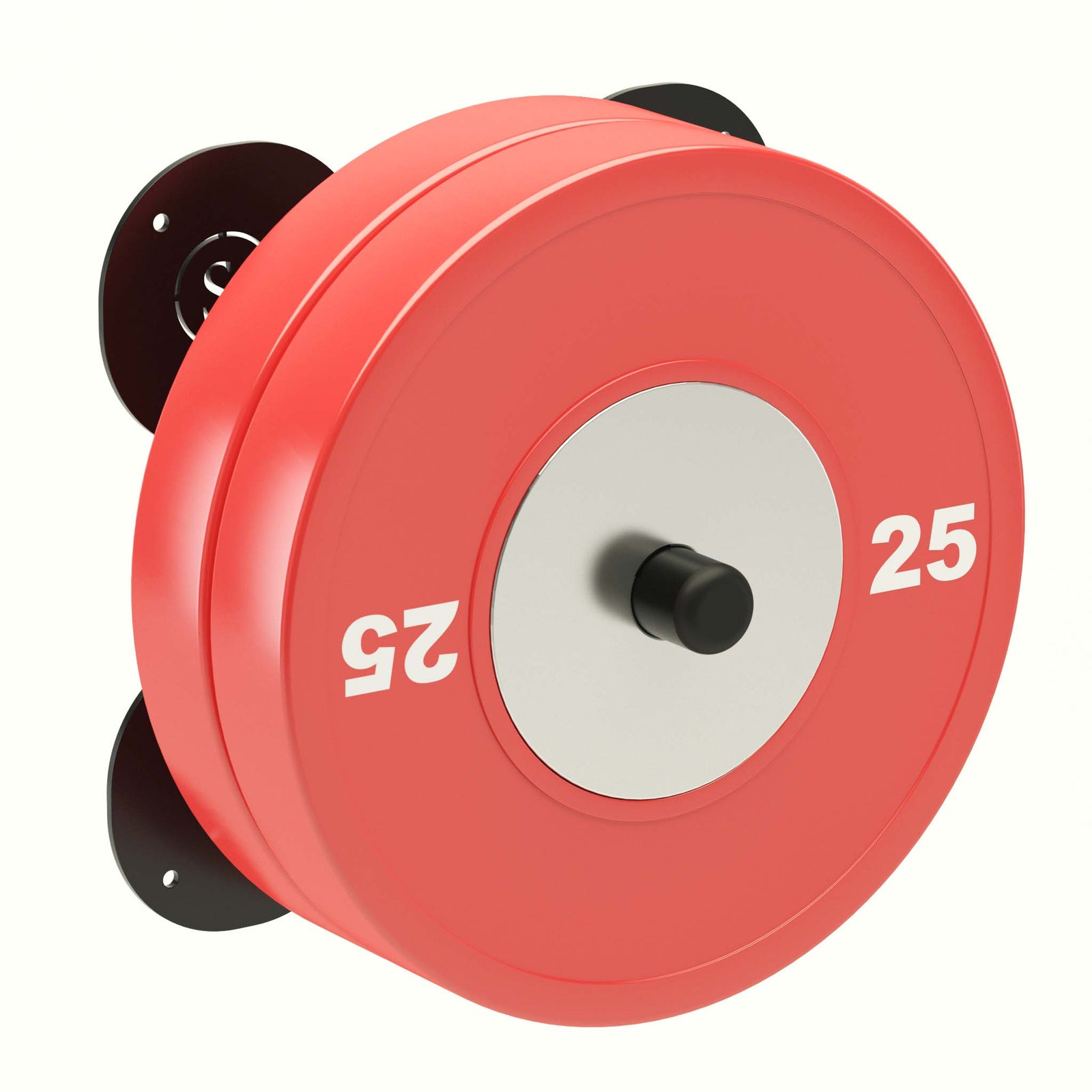 Wall Mounted Olympic Weight Plate Storage | Bumper Plate Pegs